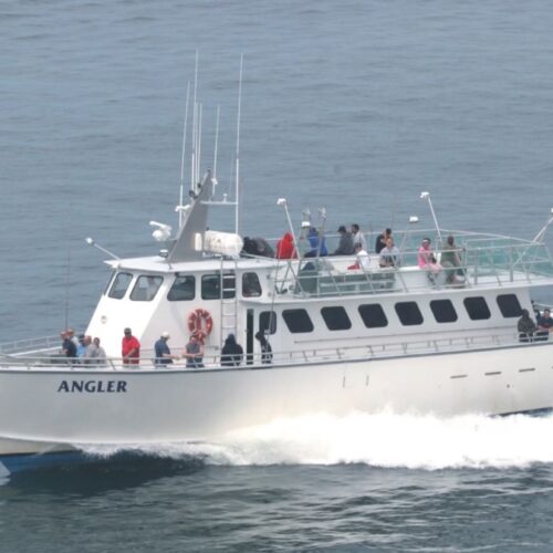 Our Vessels – Offshore Support Fleet | Helen H Offshore Support